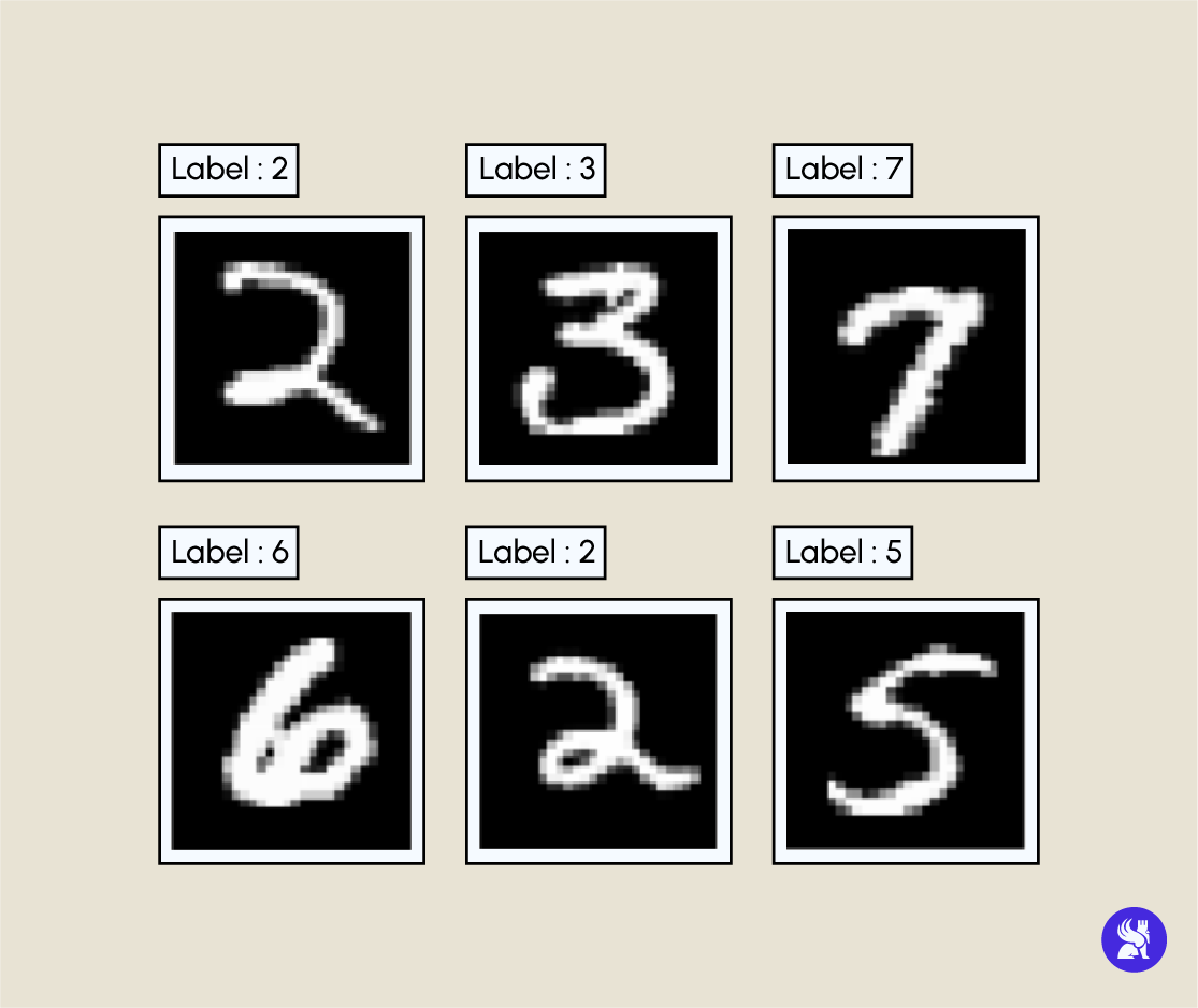 Python Deep Learning: Die Basics