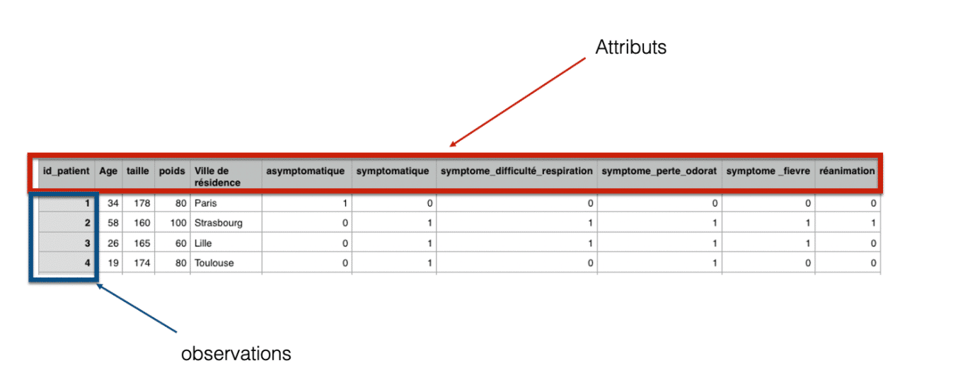 What is a dataset? How do I work with it?