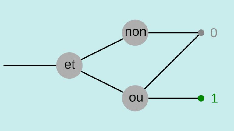 "Type de Données" : Une notion indispensable en Data Science