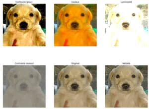 Pillow : Comment traiter des images avec Python
